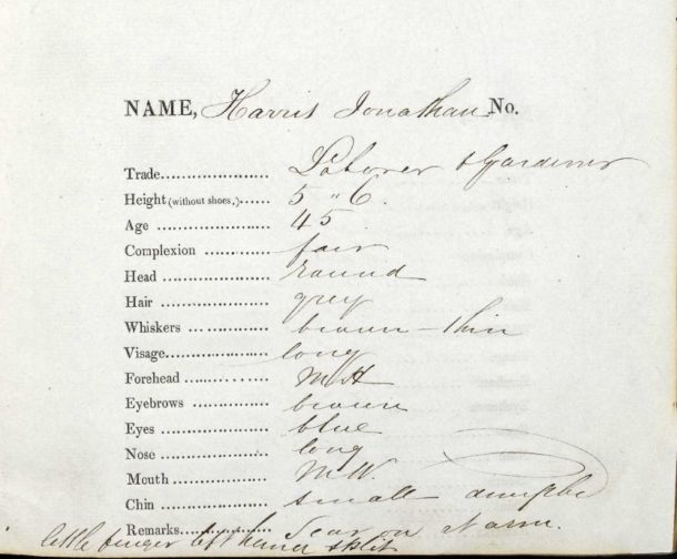 Jonathan Harris and his Australian progeny - Conversations with Grandma